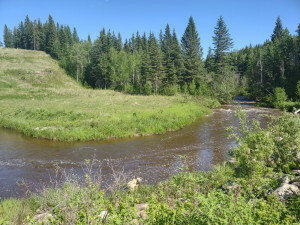 Boondockers welcome RV Camping in Wandering River, AB: Mountain Creek